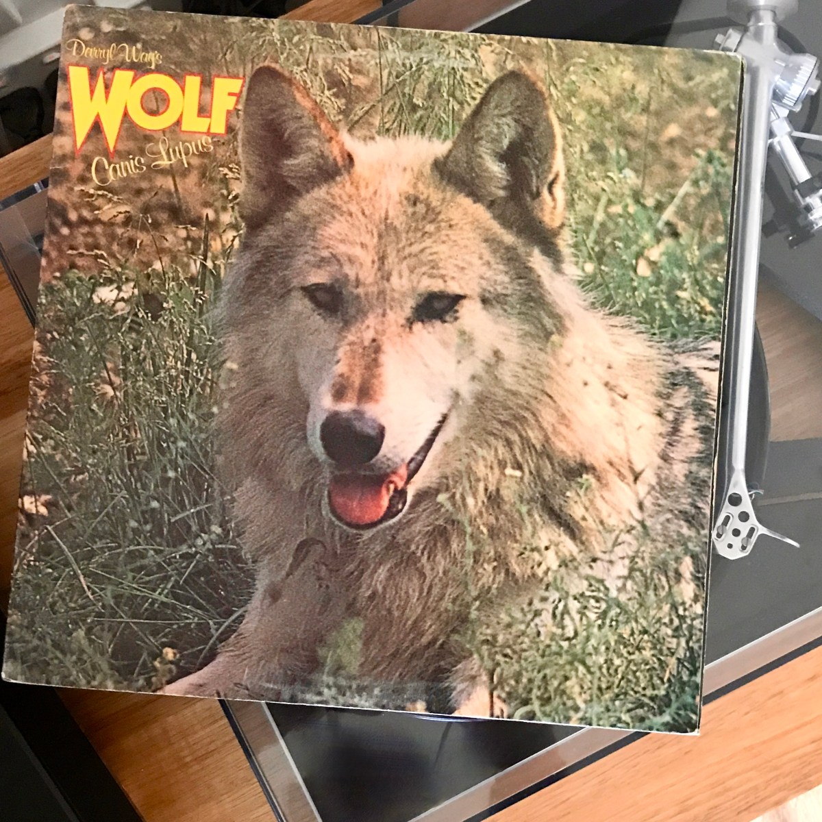 ALBUM COVERS | PICKS AND PICS
